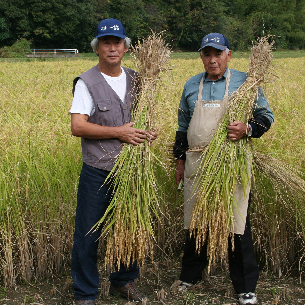 MASTER CLASS PRO: OKAYAMA "Omachi Rice between tradition and innovation ...